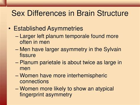 PPT Fundamentals Of Human Neuropsychology Sixth Edition Chapter Lecture PPT PowerPoint