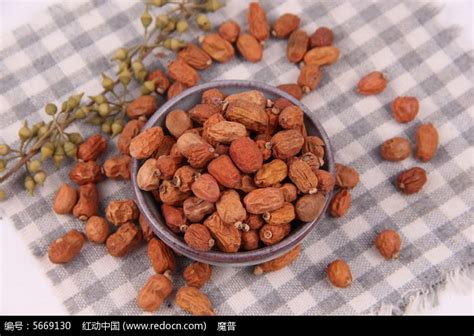 红豆蔻中药材高清图片下载 红动中国