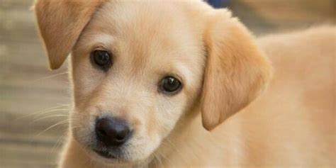 Figure Out Whats Wrong With Your Documentation Dev Community