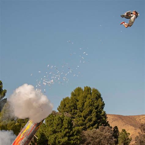 Jackass Forever 2022 Review What The Craggus Saw