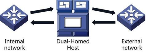 Schematic Diagram Of Dual Homed Host Structure 332 Single Segment
