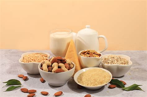 콘크리트 테이블 상점 배너 식물 기반 대체 유제품 우유 크림 요구르트 치즈 견과류 쌀 0명에 대한 스톡 사진 및 기타 이미지 Istock