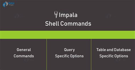 impala shell command types of impala commands dataflair