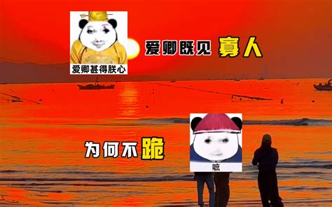 我上网就是来当皇帝的 澈洌chan 澈洌chan 哔哩哔哩视频