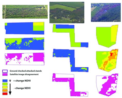 Comparison Of Bark Beetle Detection Data In Three Forest Stands With Download Scientific