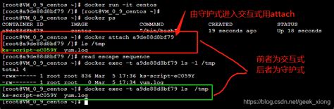 Docker 容器container 常用的基本命令（重要）及实例（下）docker运行container的命令 Csdn博客