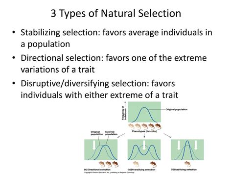 Ppt Evolution Overview Charles Darwin Powerpoint Presentation Free