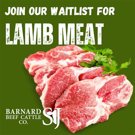 Shop Barnard Beef Cattle