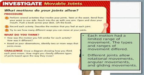 pptx each motion had a limited range of movement the types and