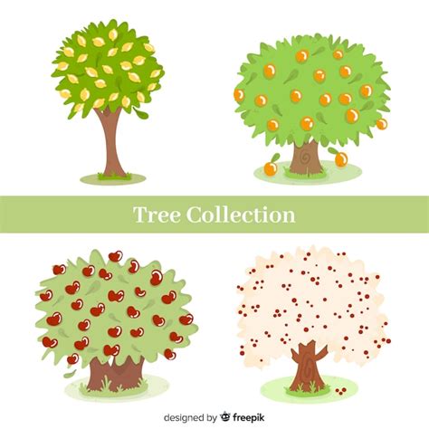 Premium Vector Tree Collection