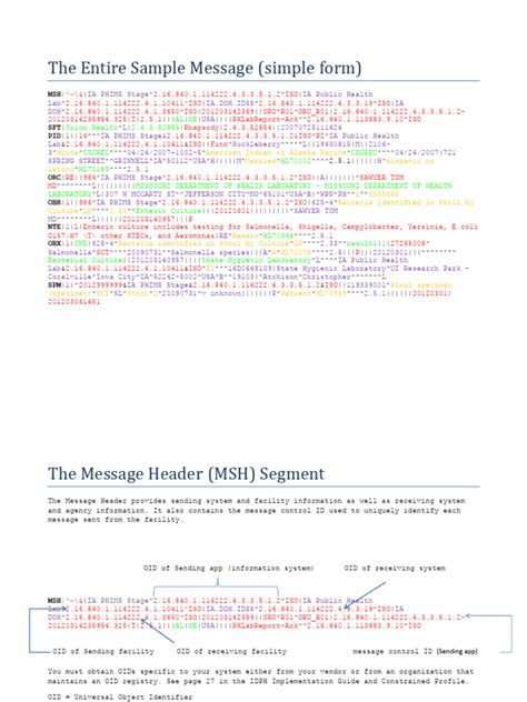 Examplehl7 Pdf Computing