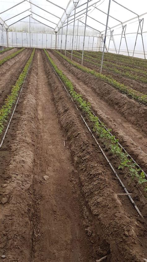 Sundharesan K Posted On Linkedin