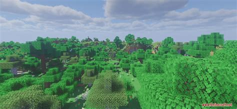 Raspberry Shaders 1minecraft
