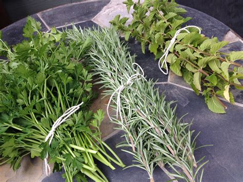 How To Freeze Herbs Freezing Herbs Herbs Herbs And Spices