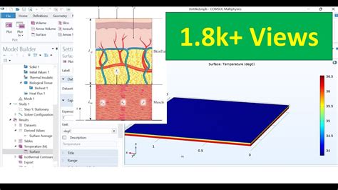 Modeling Bioheat Transfer In Comsol Multiphysics Youtube