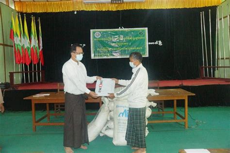 မိုးမောက်မြို့နယ်တွင် သဘာဝဘေးကြောင့် မိုးစပါးသီးနှံပျက်စီးဆုံးရှုံးသ