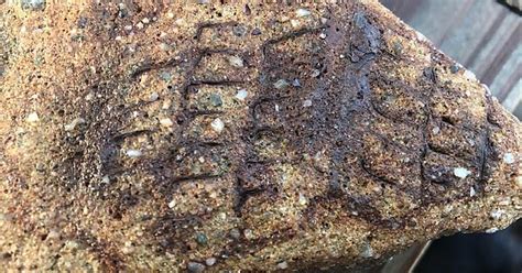 Fossil Album On Imgur