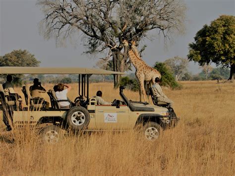 South Africa Safari When To Go What Youll See Where To Stay Cn