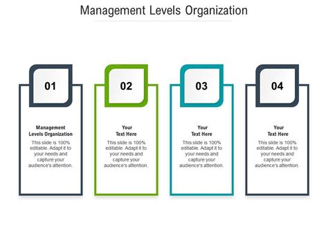 Management Levels Organization Ppt Powerpoint Presentation Slides