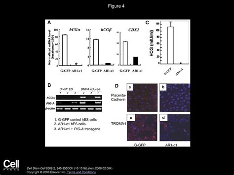 Volume Issue Pages April Ppt Download
