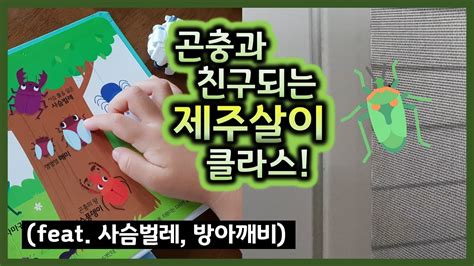 제주에서 자라는 아이들 곤충과 친구하기 징그럽지 않아요~ Feat 사슴벌레 방아깨비 Youtube