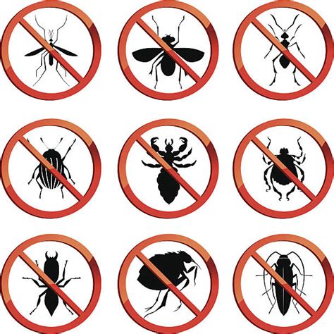 3200 Pest Control Icon Set Stock Illustrations Royalty Free Vector