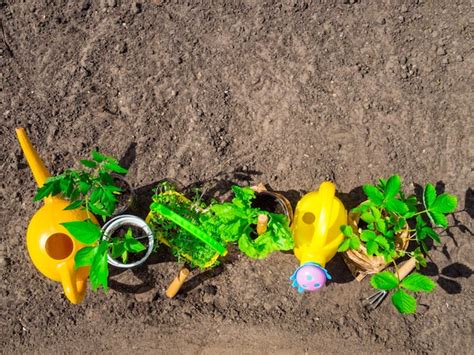 Premium Photo Gardening Tools Soil Seedlings Spring In The Garden