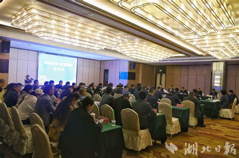 浠水县杂技强势出圈强力引流助发展 湖北日报新闻客户端
