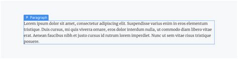 Paragraph Webflow University