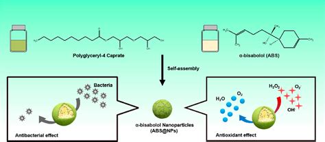 Figure 1 From Facile Fabrication Of α Bisabolol Nanoparticles With