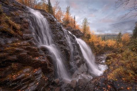 Chubby Bearded Nerd On Tumblr