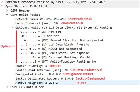 Ospf The Hello Packet The Traceroute Blog