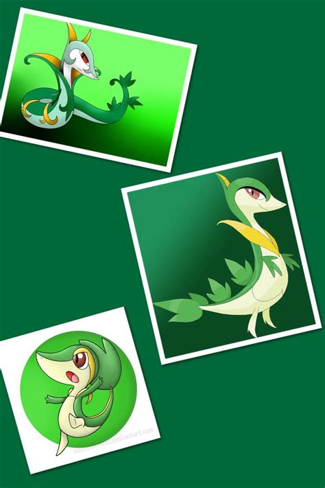 Pokèmon Snivy Evolution Pokemon Zelda Characters Fictional Characters
