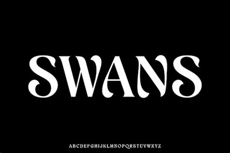 Premium Vector Elegant Decorative Alphabet Display Font Vector Illustration