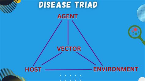 Epidemiological Triad Of Disease Explained With Examples Publichealth Crashcourse Youtube