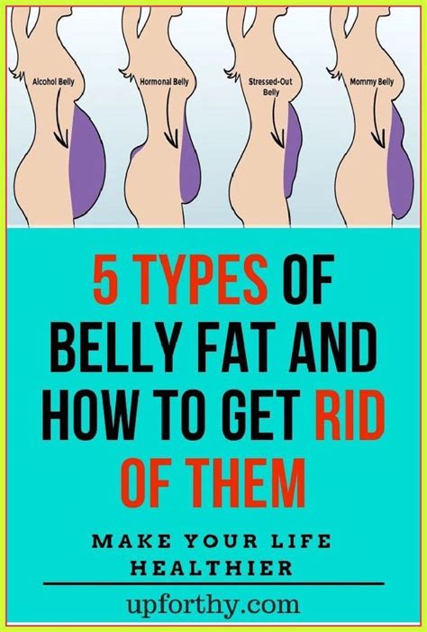 Types Of Belly Fat Artofit