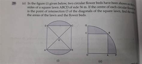 29 A In The Figure I Given Below Two Circular Flower Beds Have Been