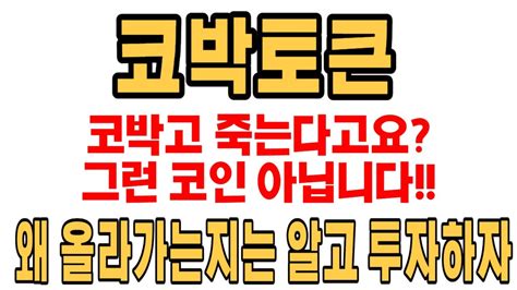 코박토큰 코인주가전망 코인대응전략 코인매수타이밍 코인목표가 앞으로의 전략 Youtube