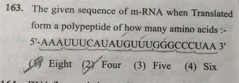 the given sequence of m rna when translated form a polypeptide of how man