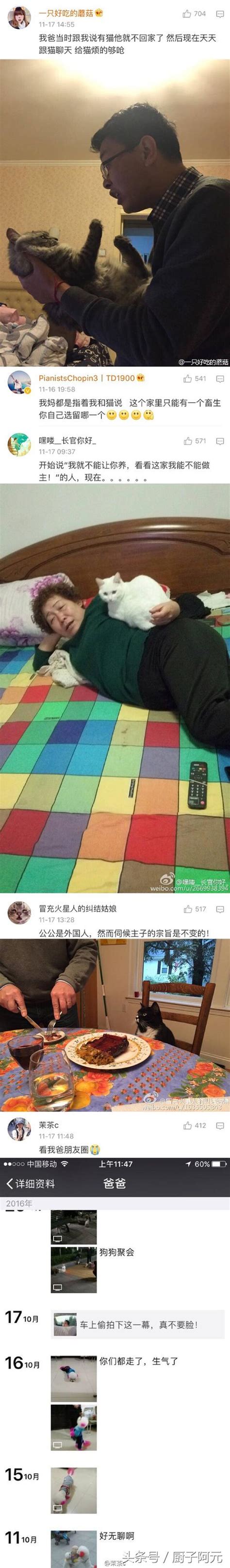父母一開始不讓養寵物，養了之後簡直愛的不要我了！ 每日頭條
