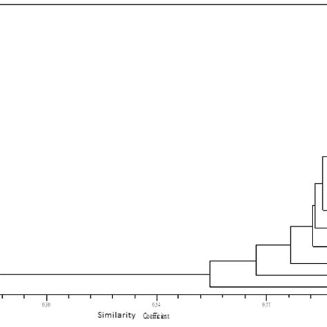Dendrogram Displaying Similarity Among Selected Bc 4 F 2 Population Of