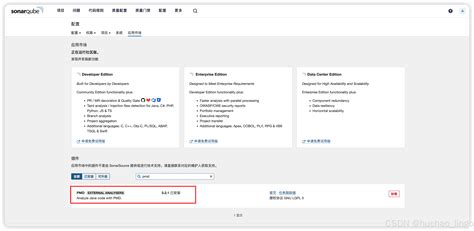 Sonarqube集成阿里p3c代码规范实现sastsonar 阿里规范 Csdn博客