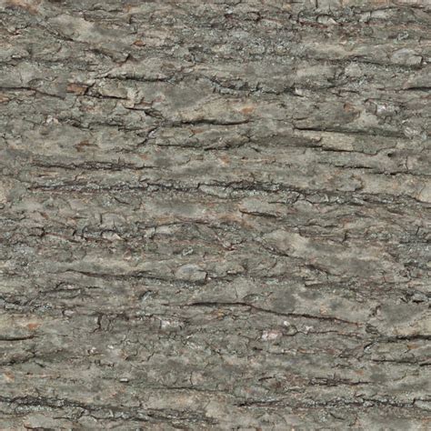 HIGH RESOLUTION TEXTURES Wood Tree Bark Plank Texture