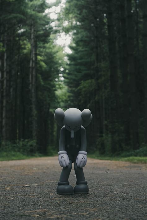 Best R Kaws Images On Pholder Collection So Far