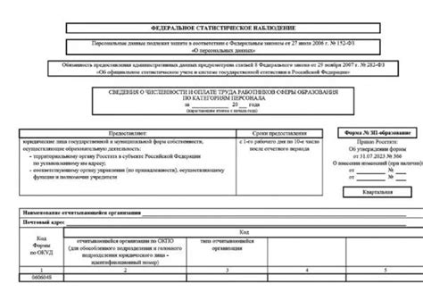 Форма ЗП-образование в 2025 году: бланк, срок сдачи и образец