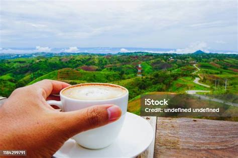 녹색 신선한 산과 배경으로 아침 안개와 나무 바닥에 배치 흰색 뜨거운 커피 잔 갈색에 대한 스톡 사진 및 기타 이미지 갈색 건강한 생활방식 검은색 Istock