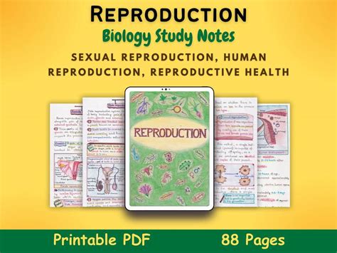 Human Reproduction Male And Female Aesthetic Notes PDF NewtonDesk
