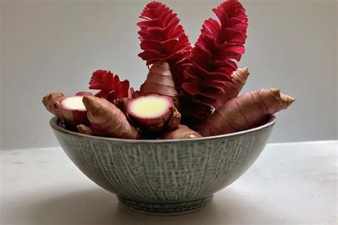 Manfaat Jahe Merah Dari Meningkatkan Imunitas Hingga Antikanker Temukan Informasi Terkini