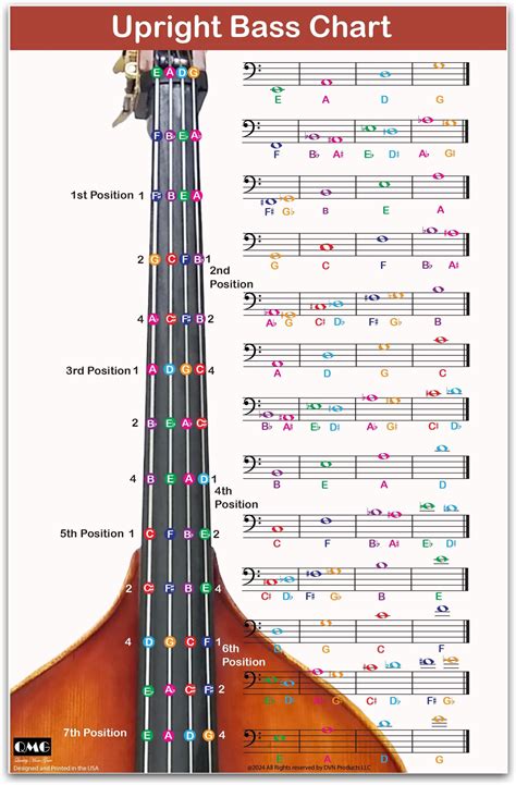 Qmg Upright Bass Fingering Chart With Color Coded Notes Double Bass Chart Suitable