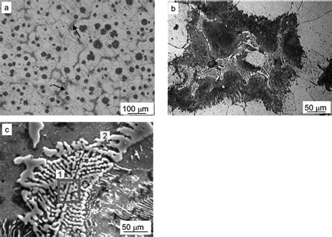 A Light Microscope Image Showing Graphite Nodules And Metal Matrix As